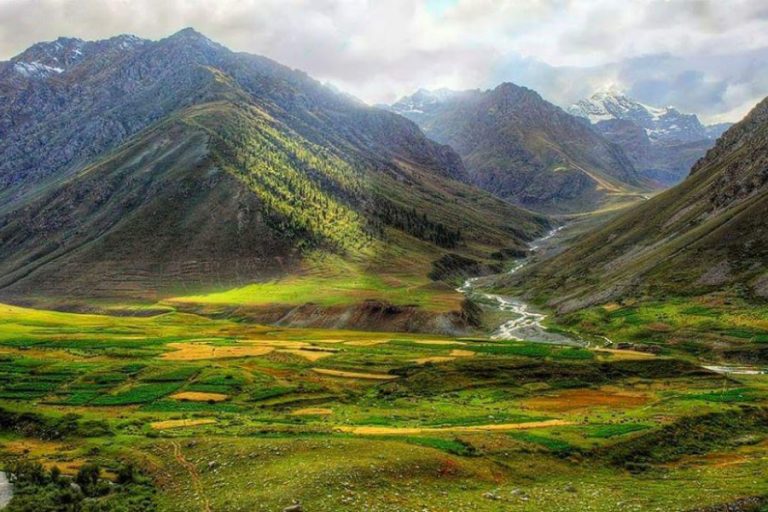 Deosai National Park and Plains Complete Guide - Jasmine Tours 1995 ...